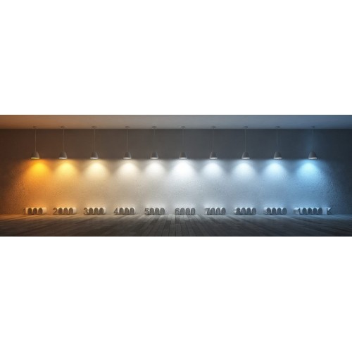 28W 2D DD 4-Pin GR10q Light Bulb in Cool White 835