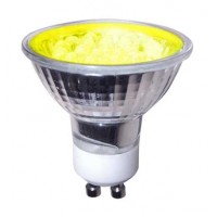 Light Bulbs and LED Lighting | LED Light Bulbs / Floodlights